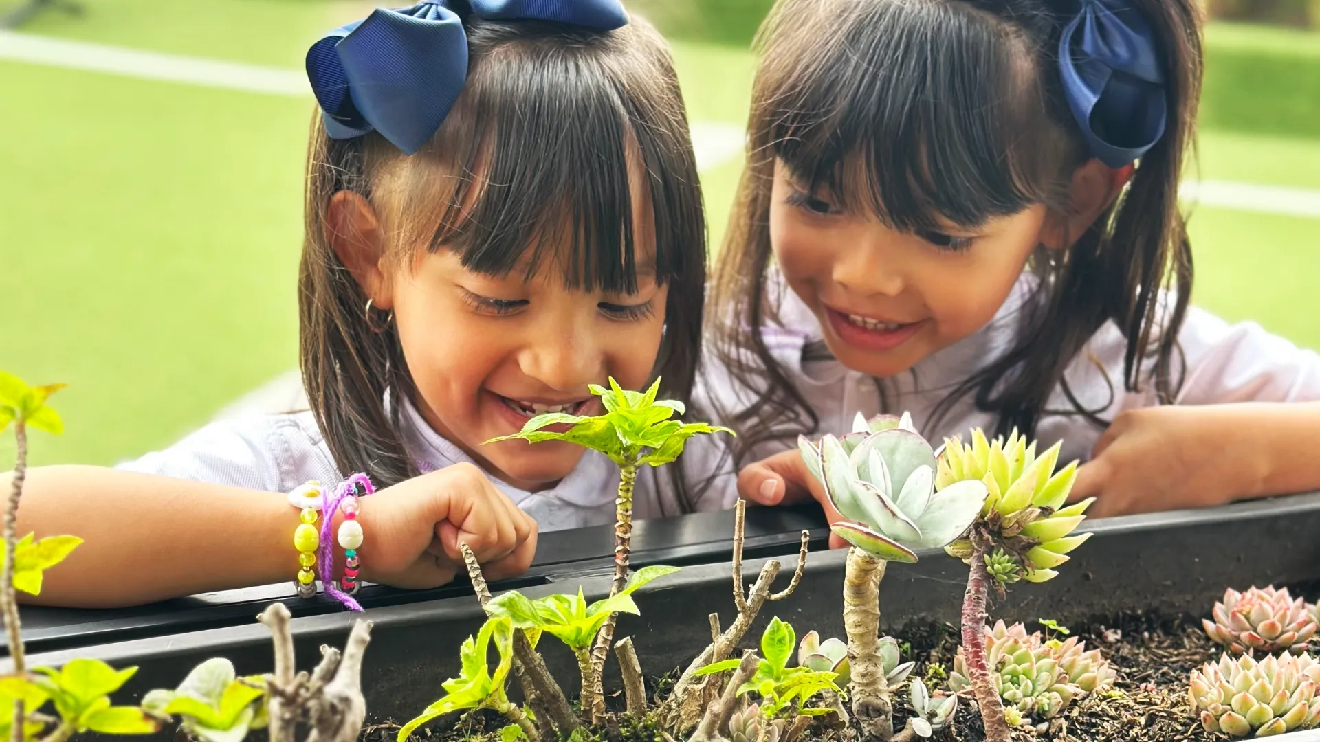 Dreams Kindergarten (Bogotá) - Guía de Los Mejores Jardines Infantiles ...